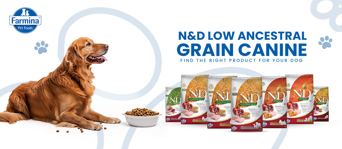 Pet Food Distributor and Wholesaler in Pakistan | Confiance Co